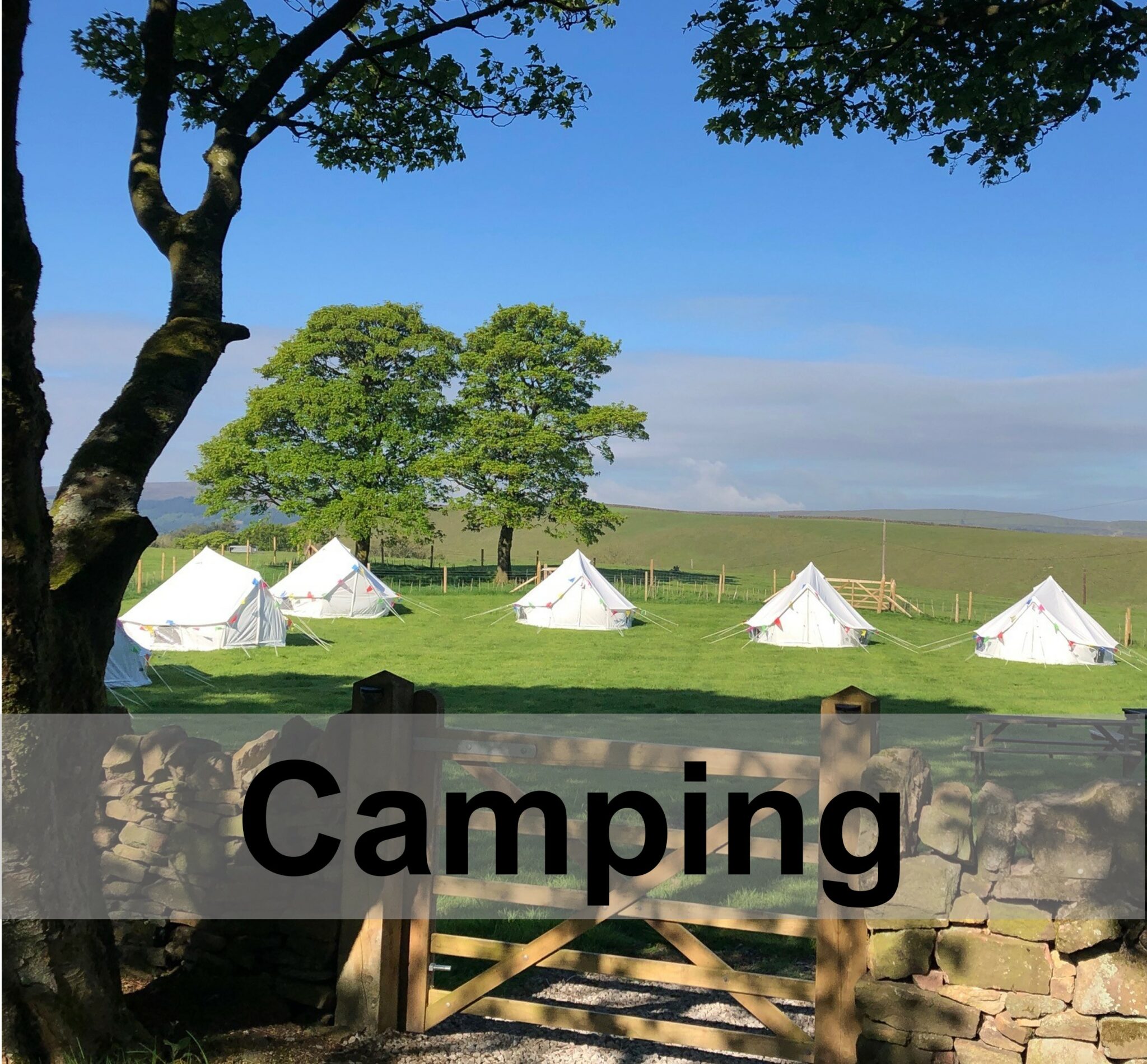 Schools and Groups | White Hall