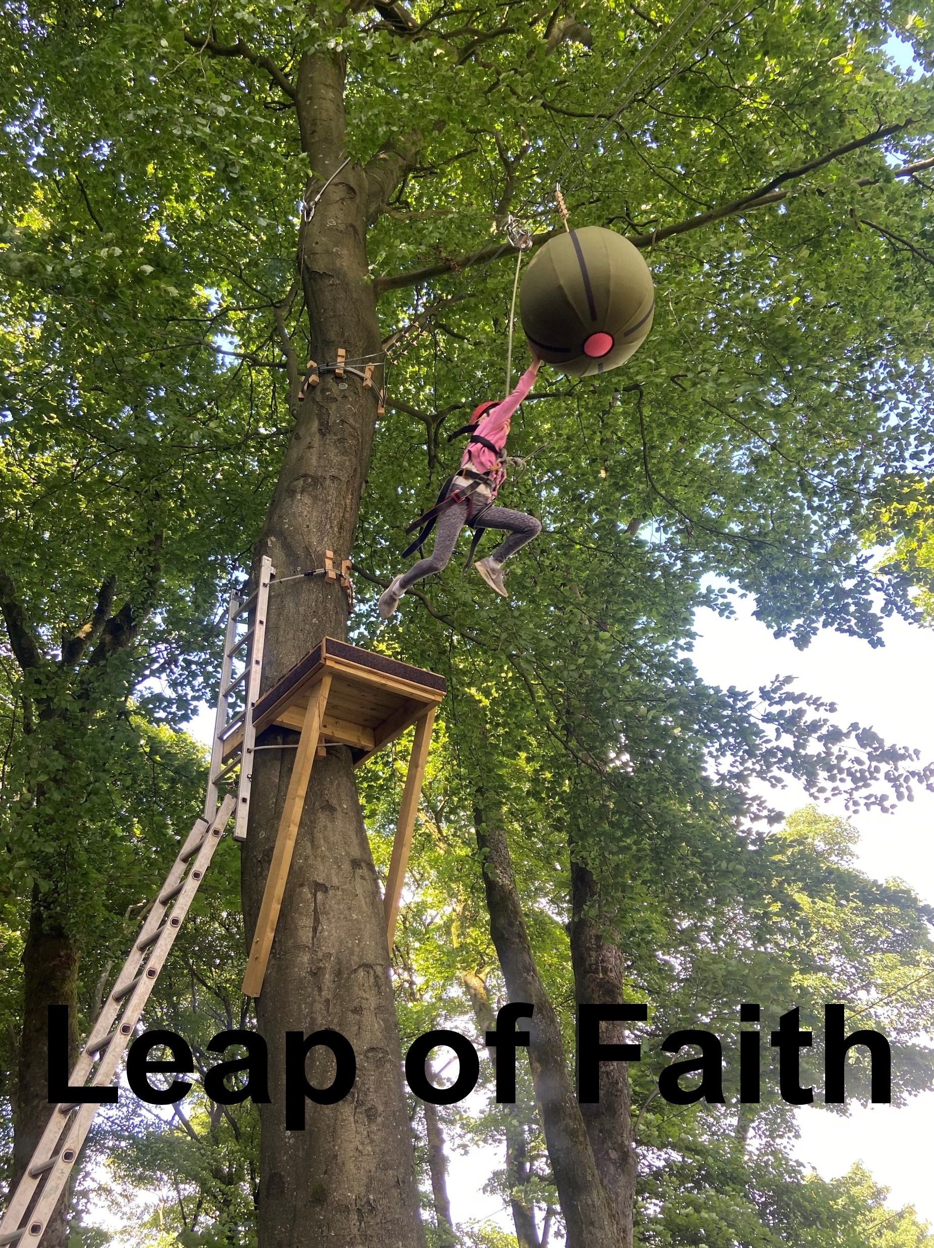 Activities | White Hall