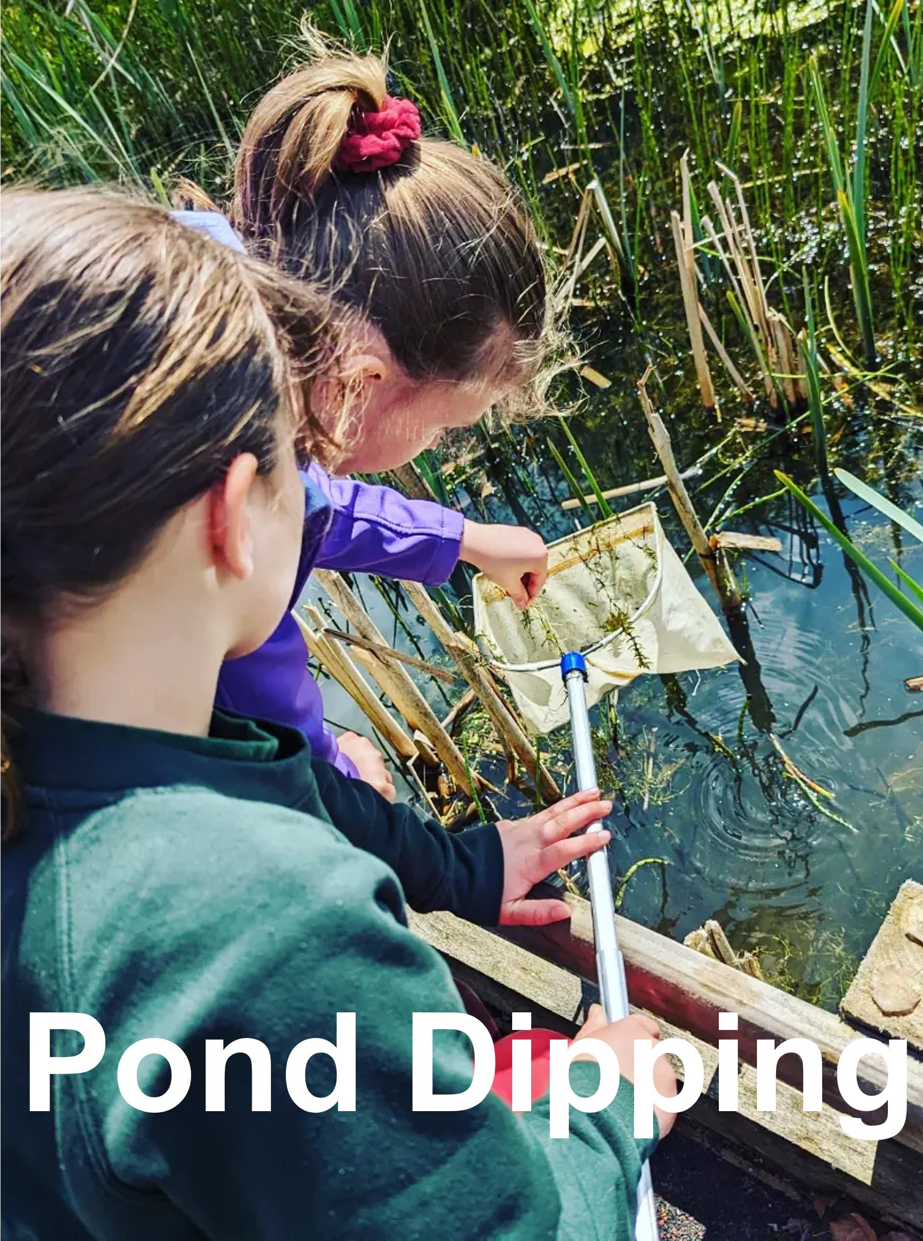 Activities | White Hall